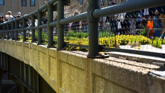 Grow What You Love: The High Line, NYC - Pass the Pistil