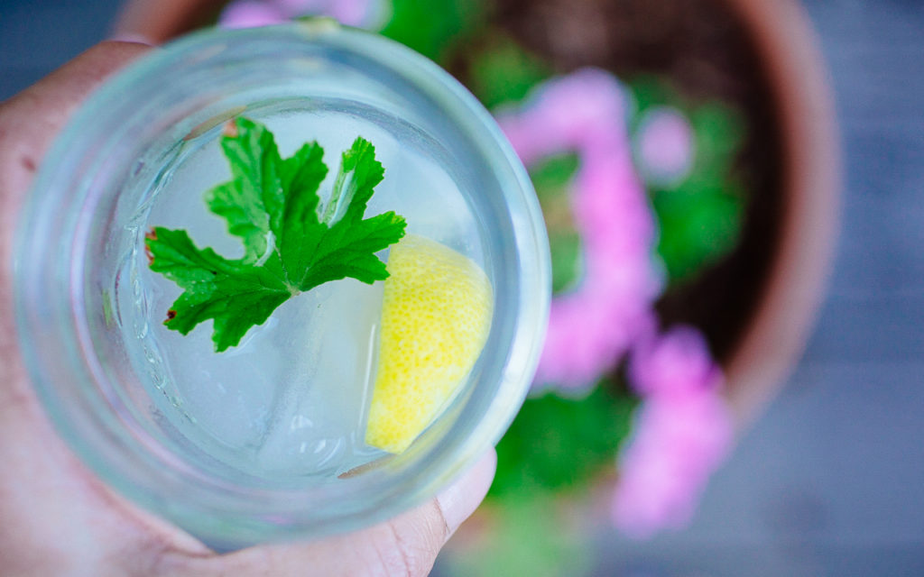 DIY Cocktail Herb Garden: Scented Geranium + Recipes - Pass the Pistil