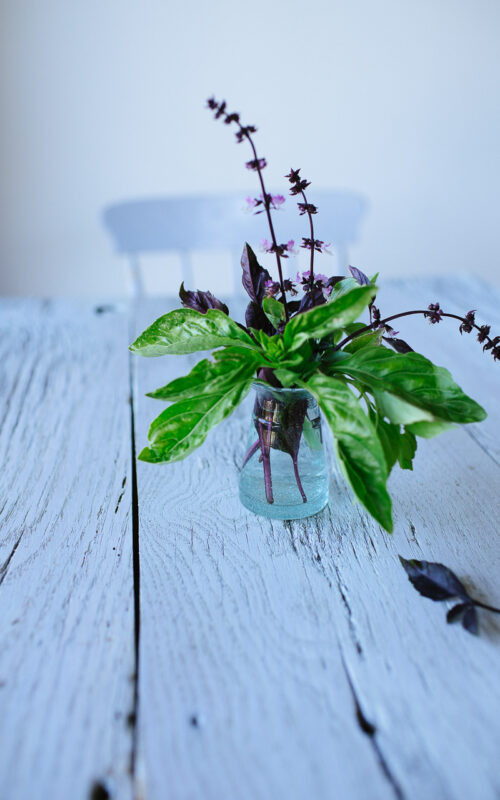 6 Basil Varieties To Grow & Love - Pass the Pistil