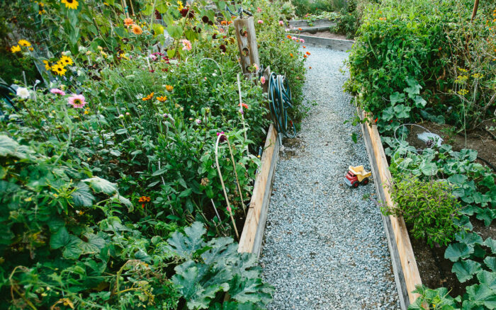 What is Organic and Why is it Important? - Pass the Pistil