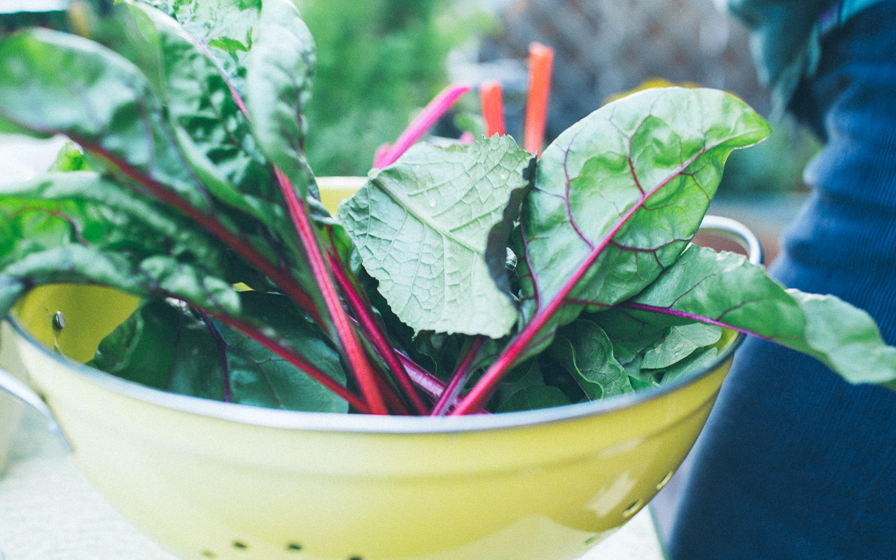 Episode 10: Talking Hyper-local Food, Regenerative Organics, and Farm ...